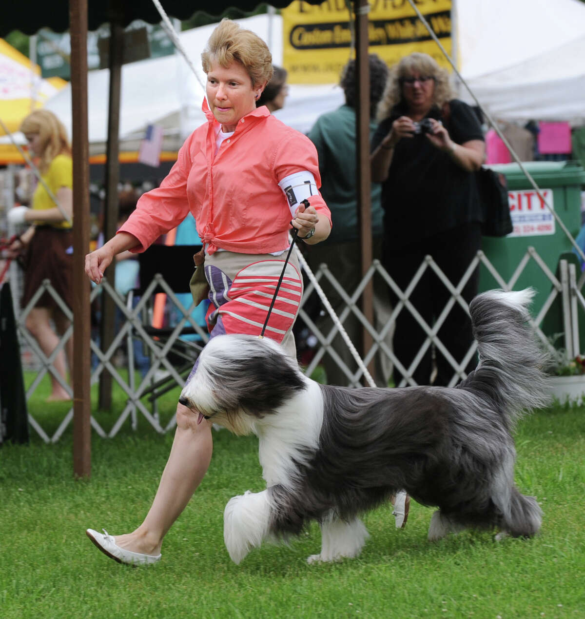 Bad fur day at Greenwich Kennel Club dog show