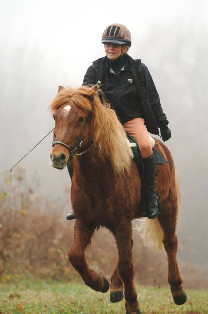 Amid the mist at Huntington State Park
