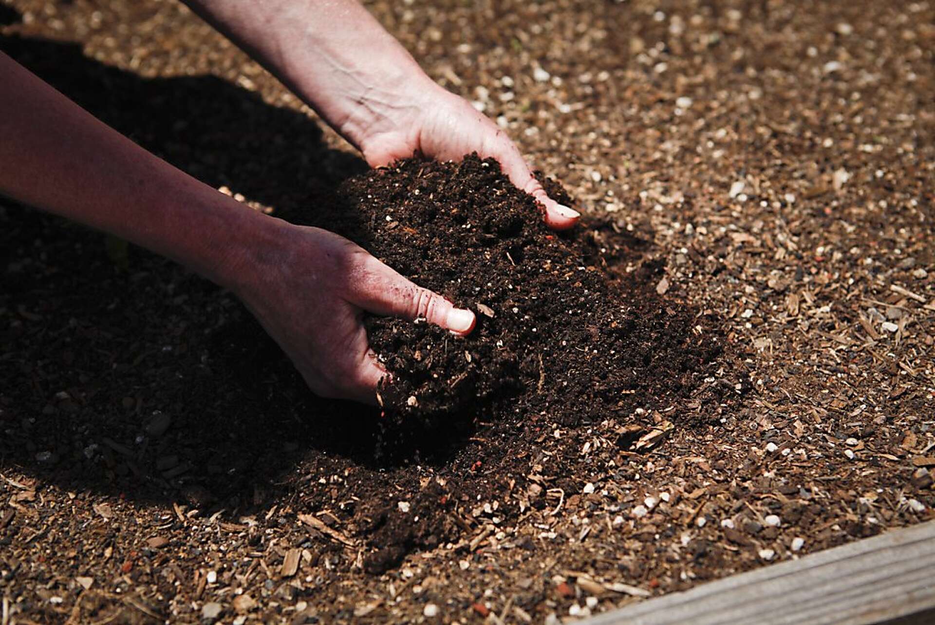 Biochar aids soil fertility, keeps carbon in earth