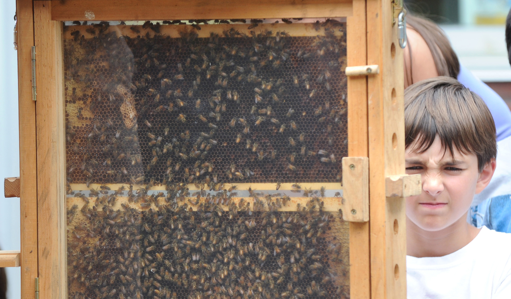 Garden helps students focus on healthy eating