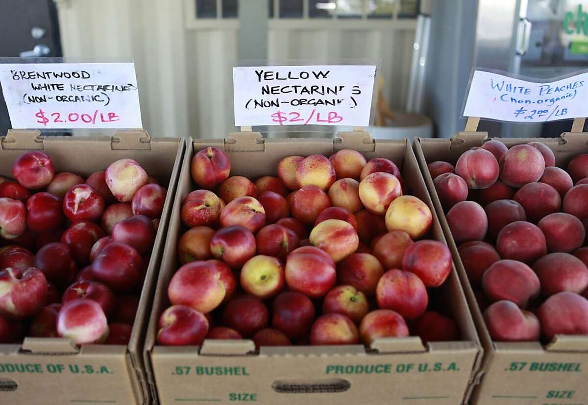 U-pick farms: Harvesting your own bears fruit, saves money