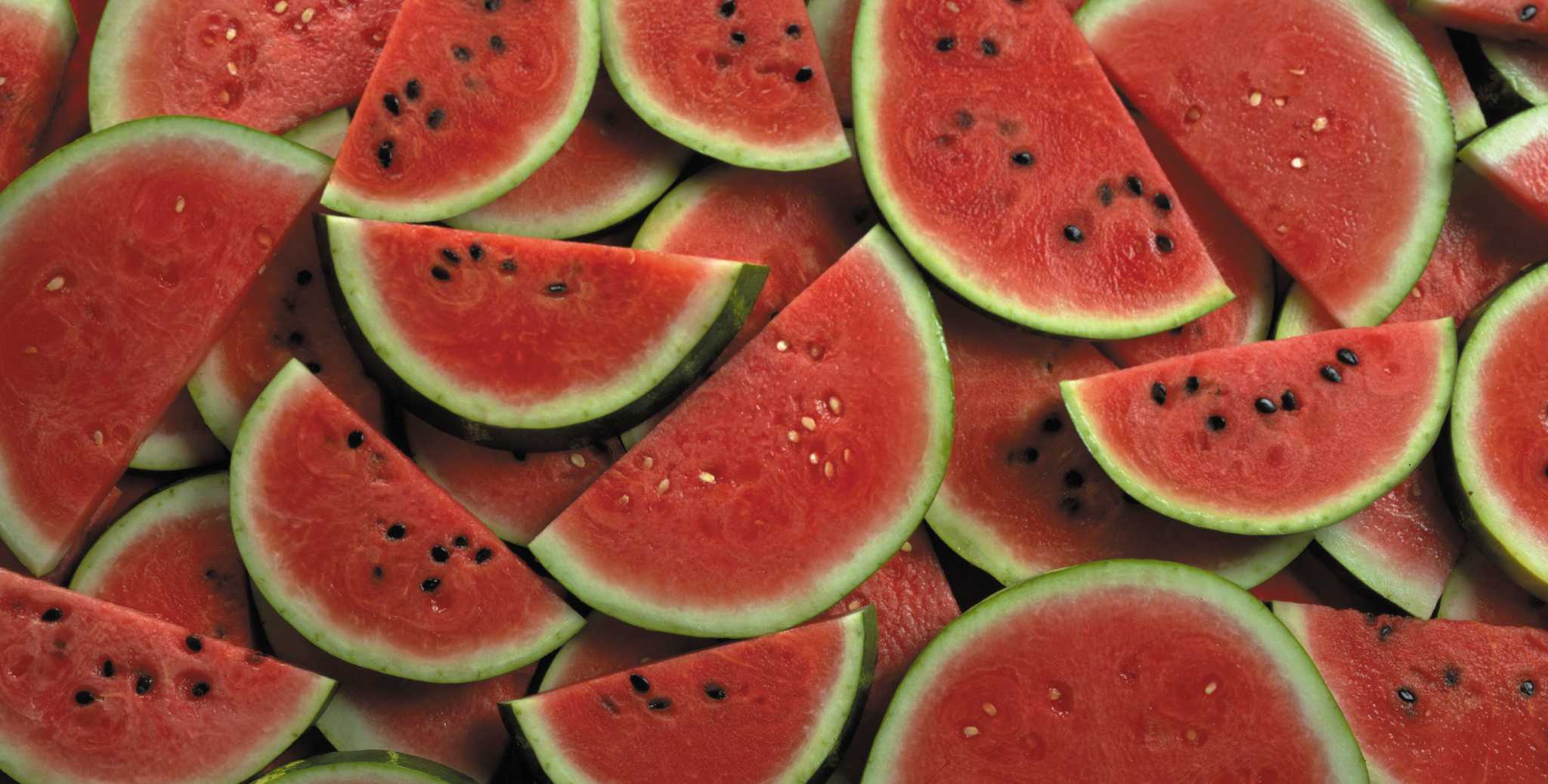 Watermelons ripe for picking