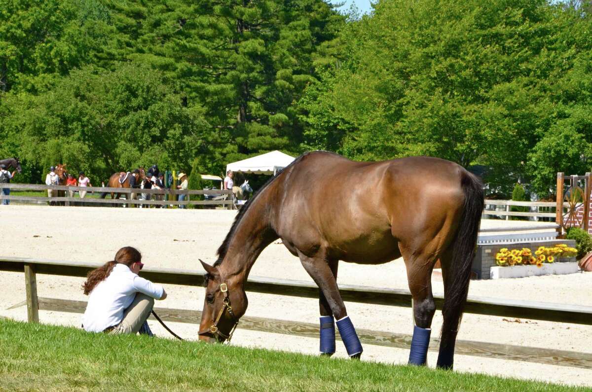 Ox Ridge looks back, and forward