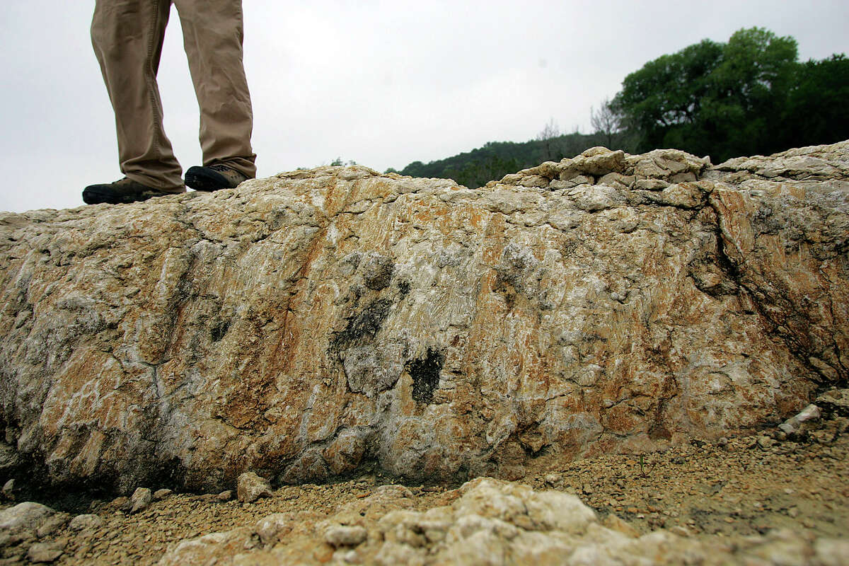 Where nature devastated, it now teaches