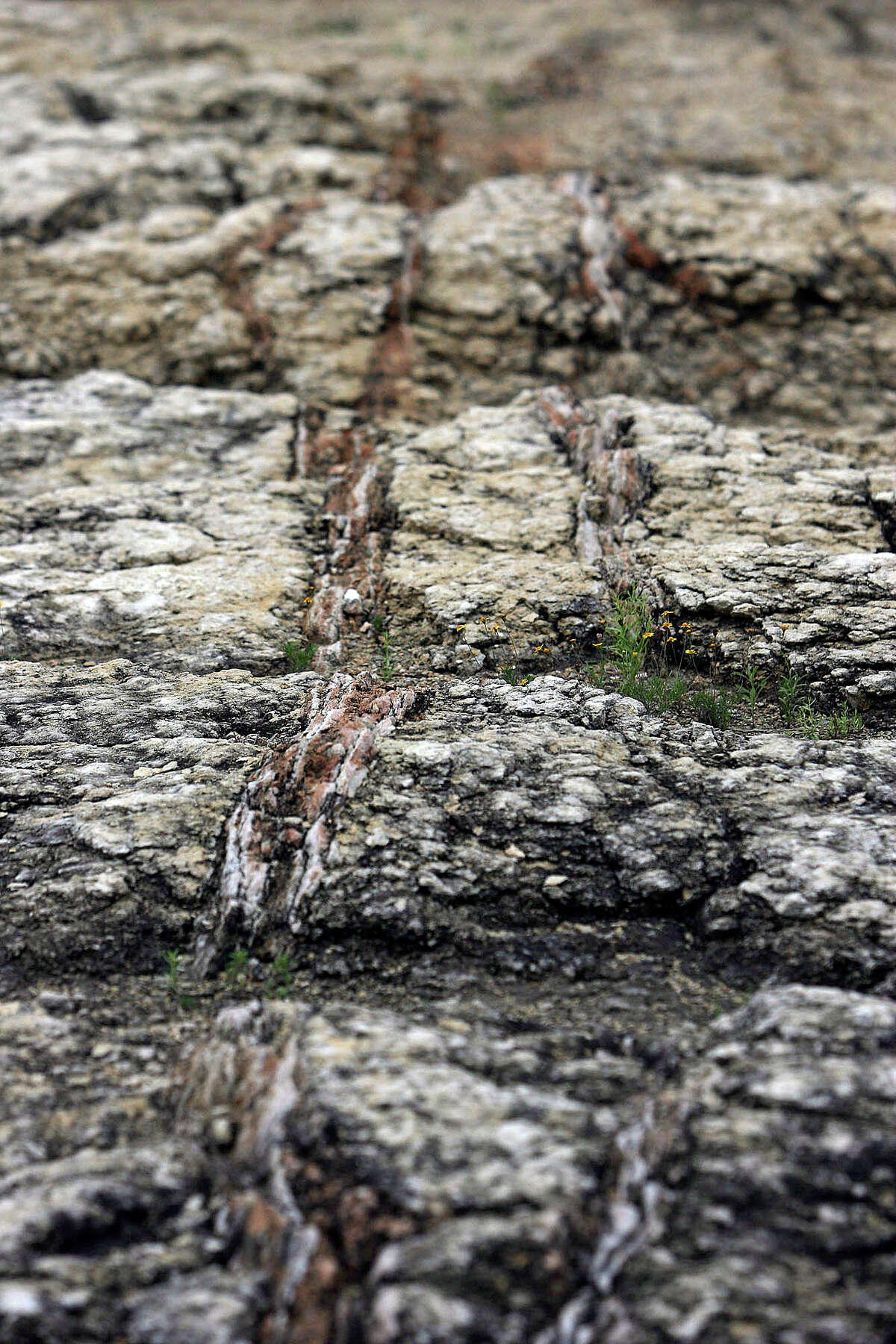 Where nature devastated, it now teaches