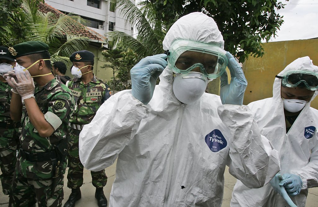 Bird flu paper released after terror fears allayed