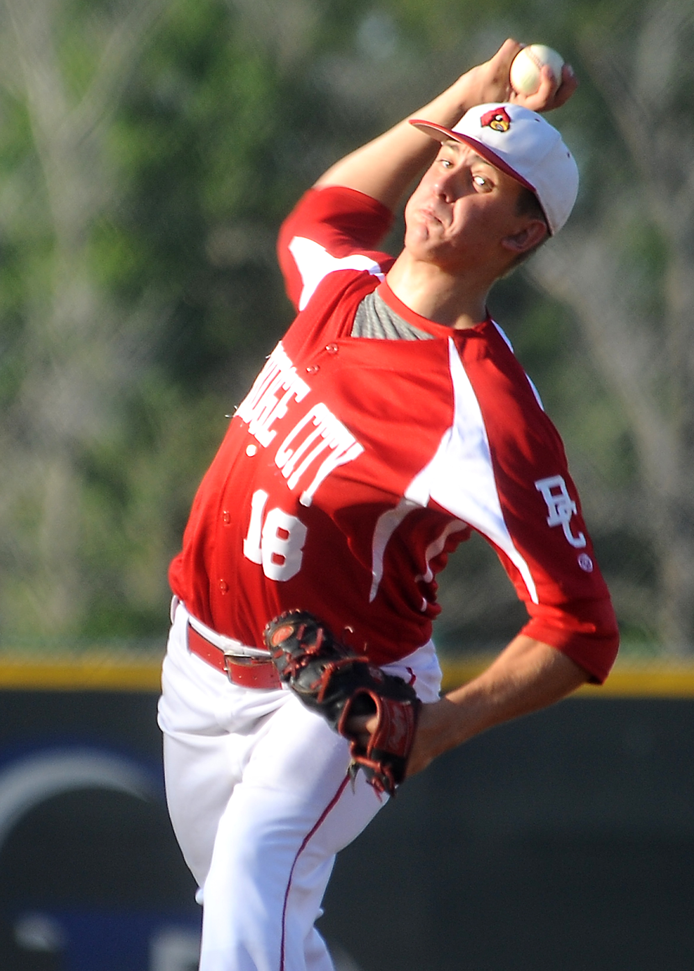 Beaumont Enterprise Super Gold Baseball Team 2012