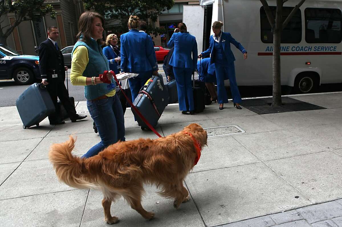 Dogs have their day in workplace in national event
