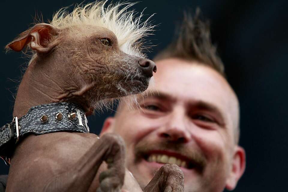 Mugly wins ugliest dog competition