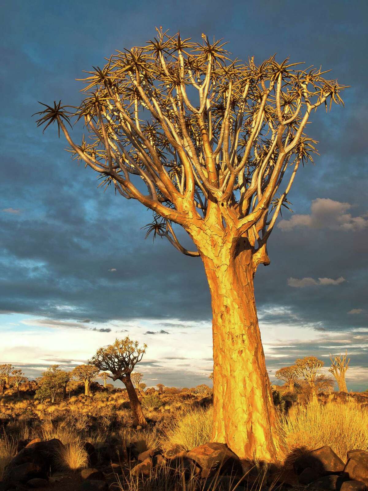 Namibian travel captured in photo book