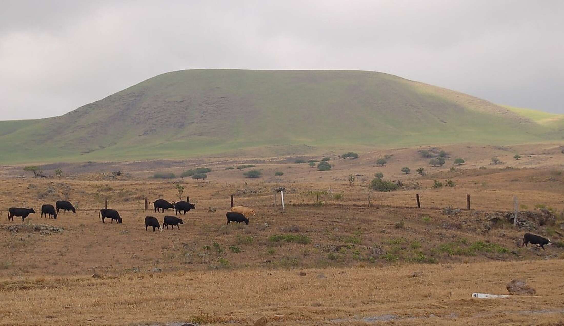 Hawaii’s top 10 largest landowners