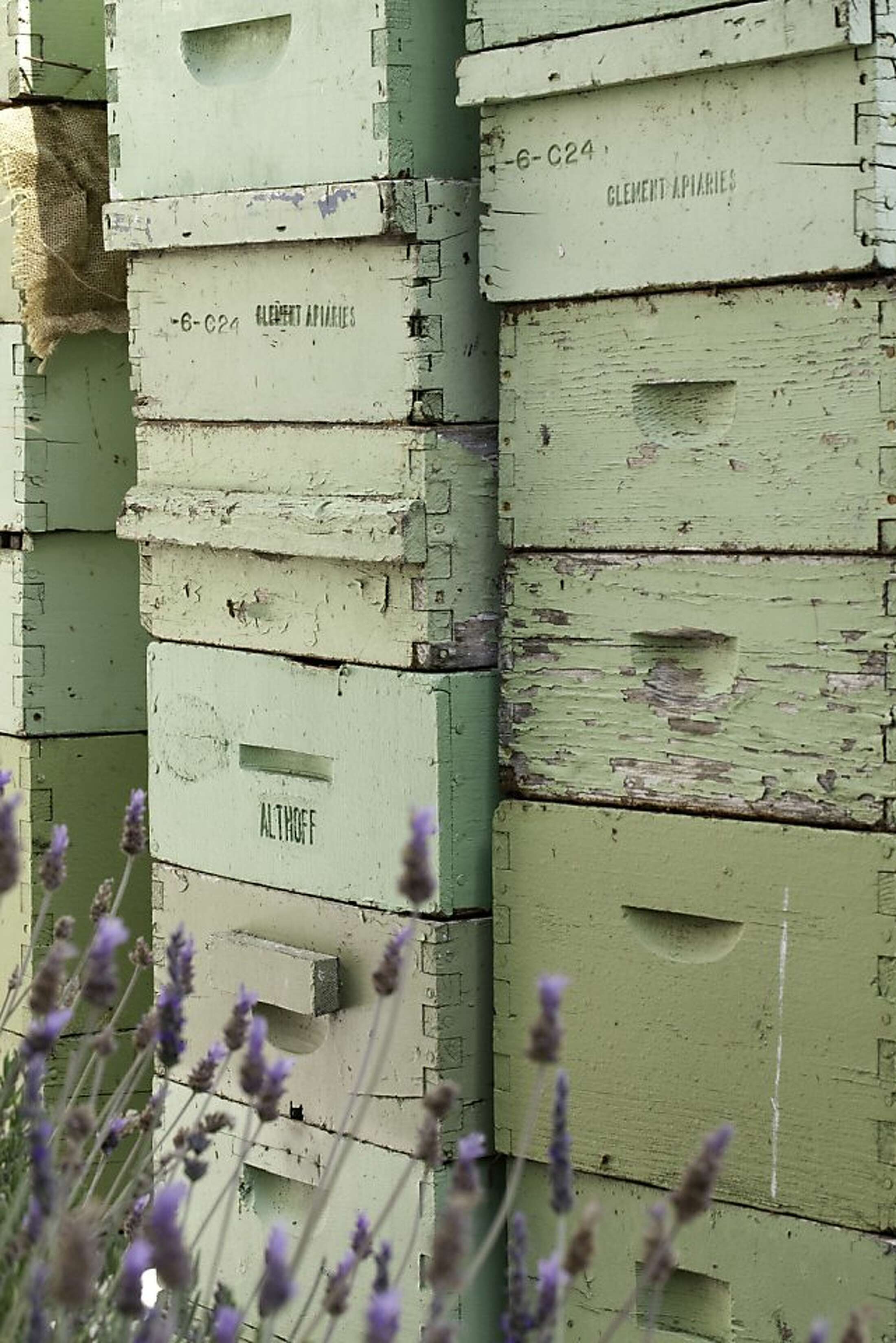 Gardenista site full of tips on growing, eating