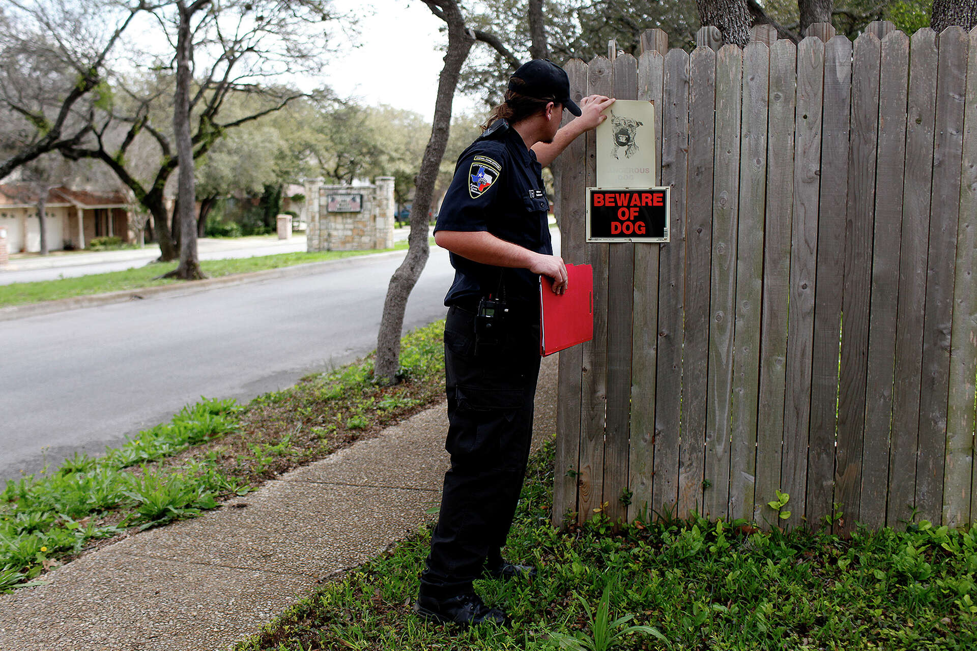 Program to hold owners of dangerous dogs responsible