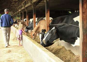 A Vermont summer day feels like spring