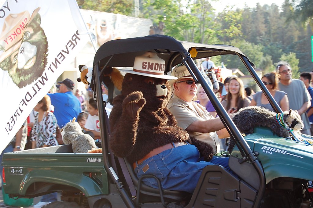 5 places you can find Smokey Bear