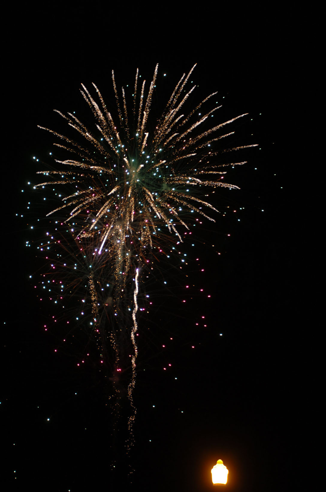 Fireworks light up sky for annual event