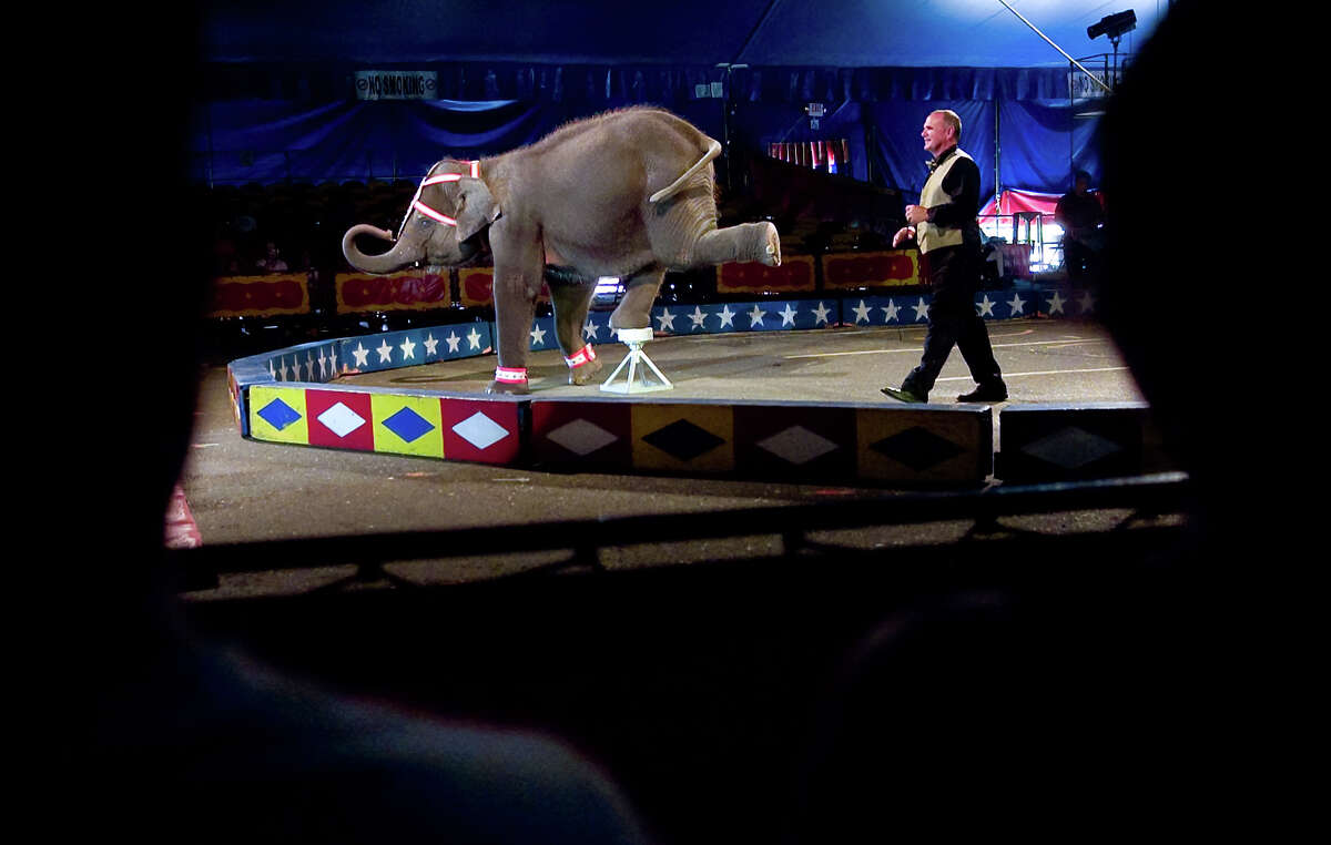 Cole Bros. Circus of the Stars