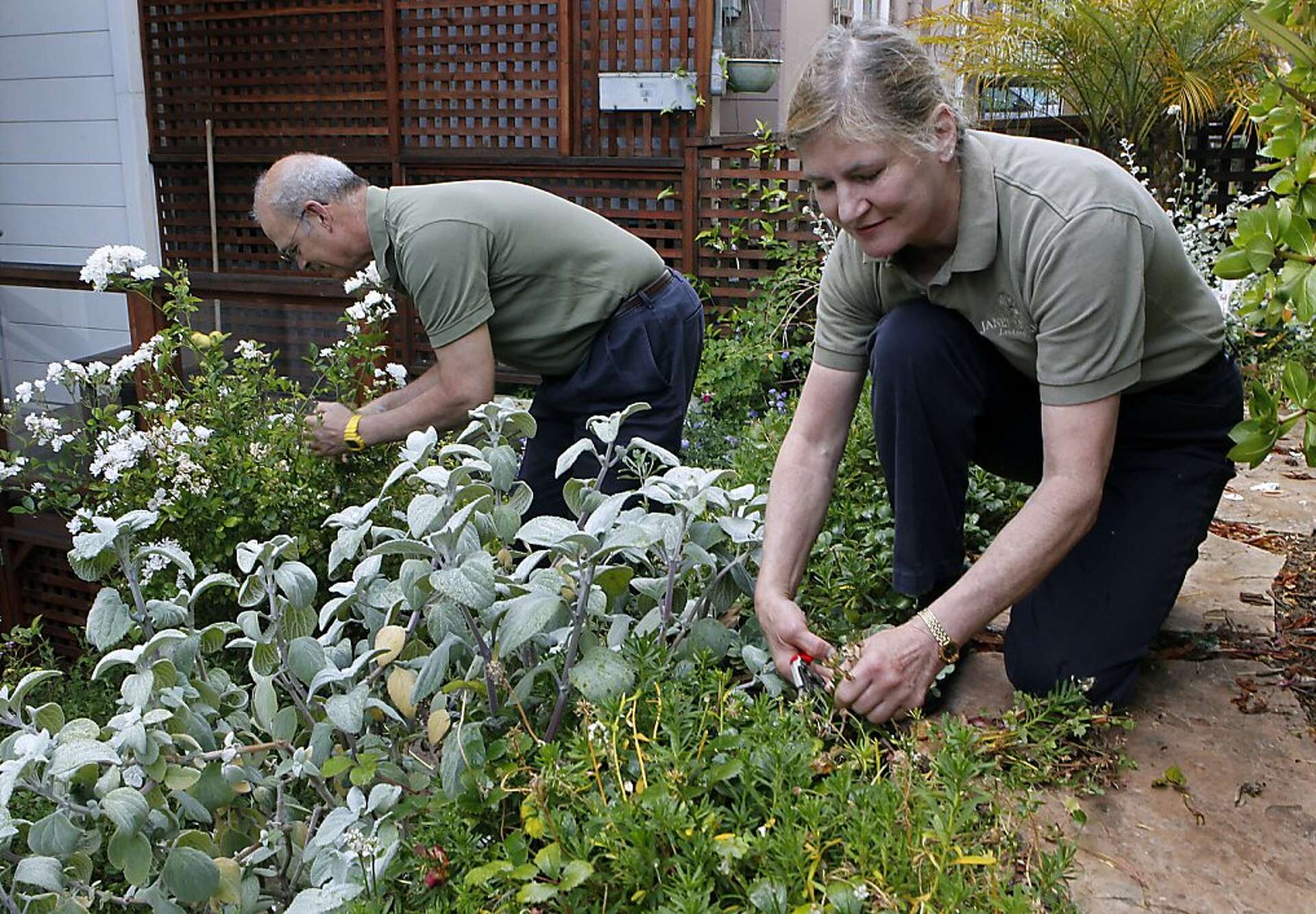 S.F. 'nanoclimates' create gardening challenges