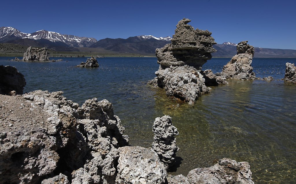 2 new studies dispute arsenic-based life exists