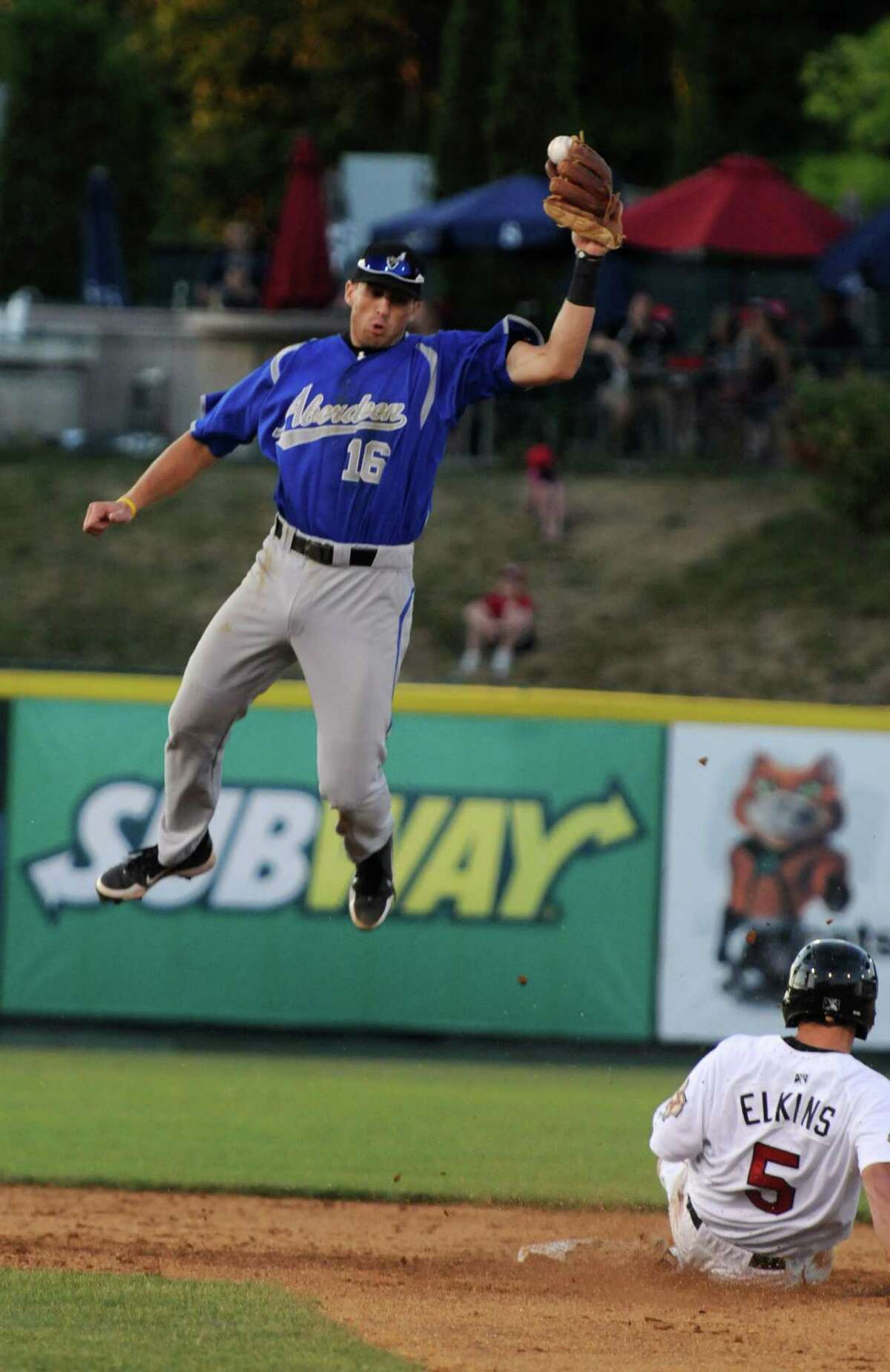 Dineen settling in with 'Cats