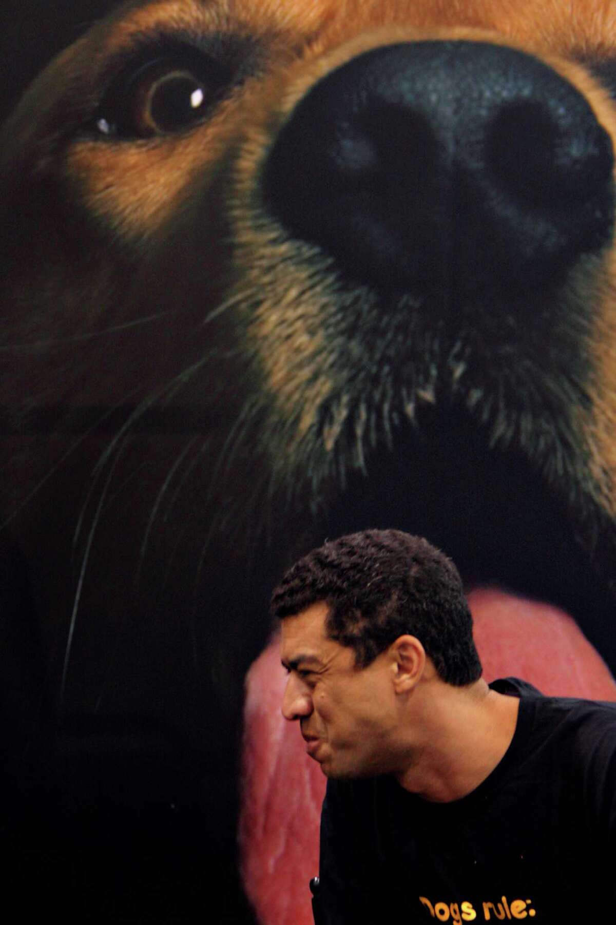 Help pooches feel at home on the road