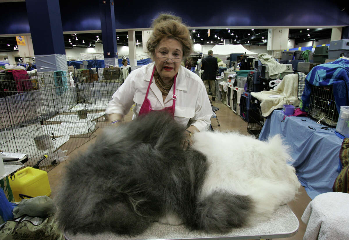 Help pooches feel at home on the road