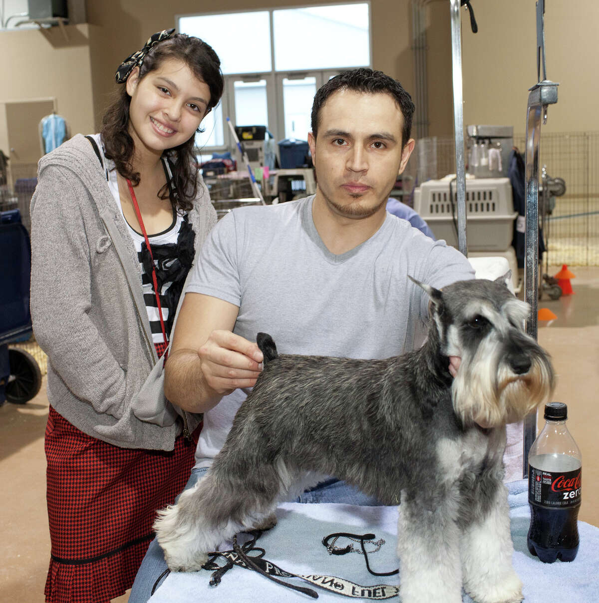 Help pooches feel at home on the road