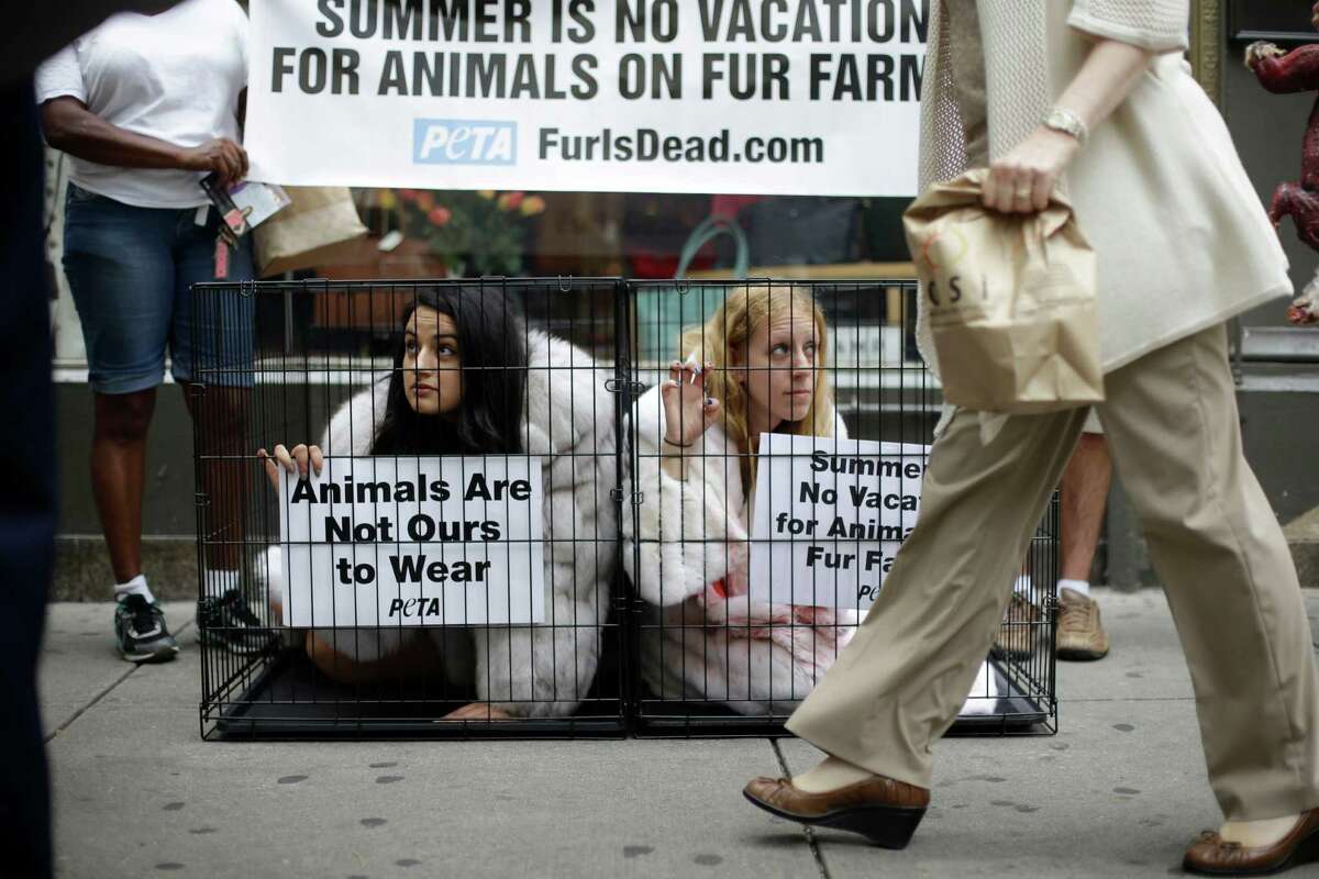 PETA: Air Force survival training is cruel to animals