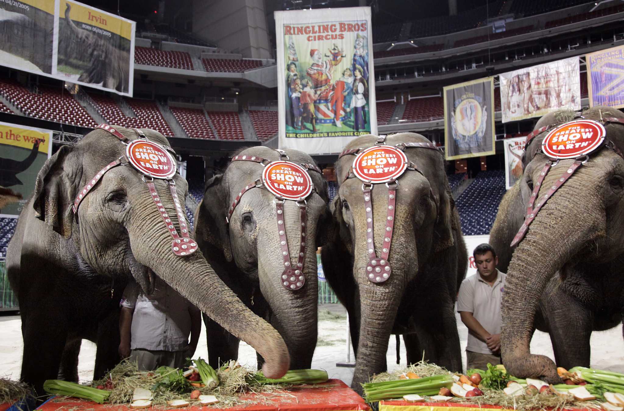 The circus comes to town