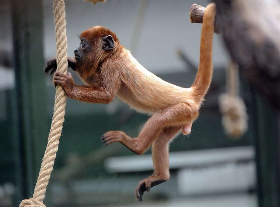 SFGate: Day in Pictures, July 12, 2012 - SFGate