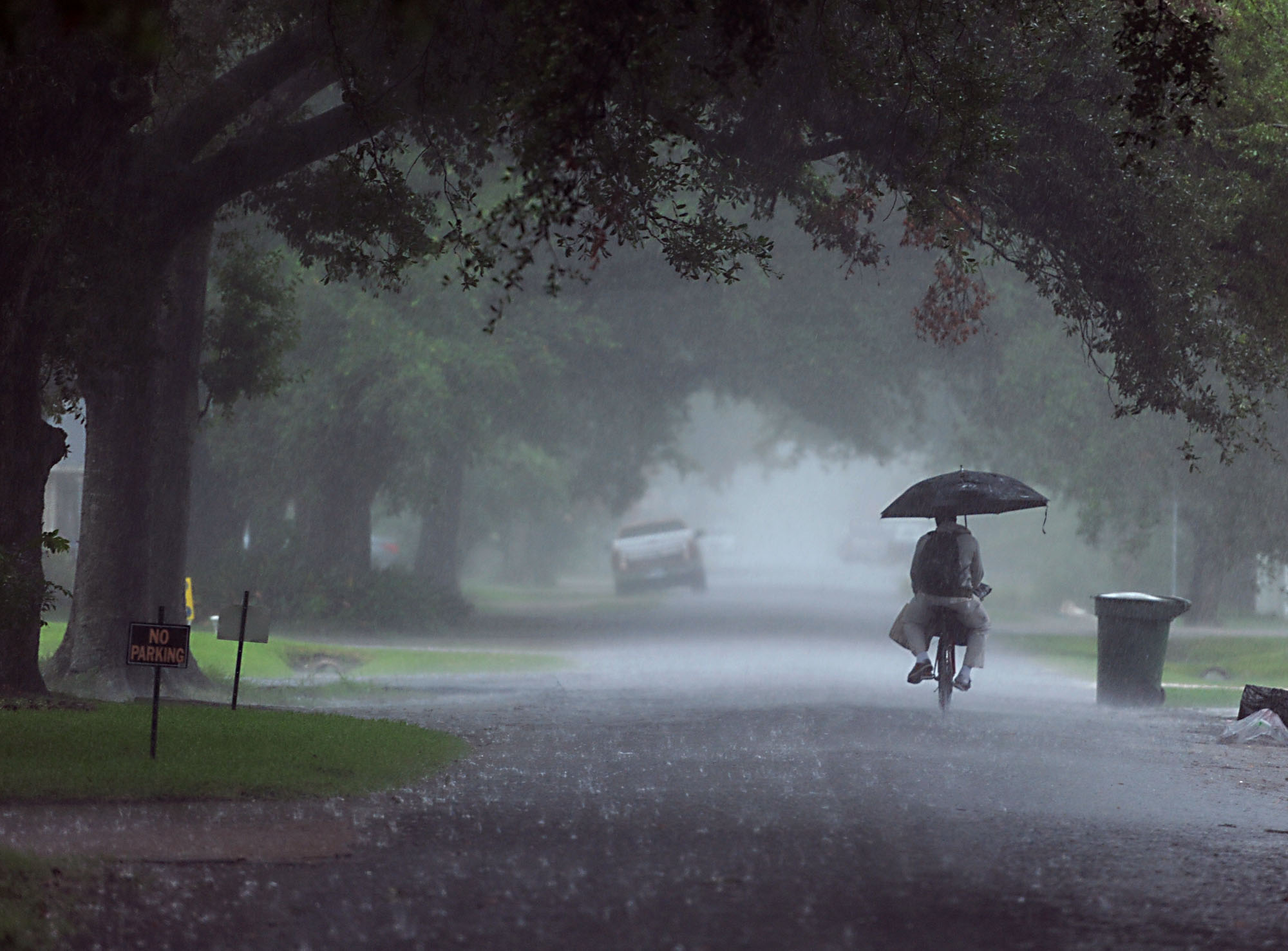 Beaumont swells with rainwater