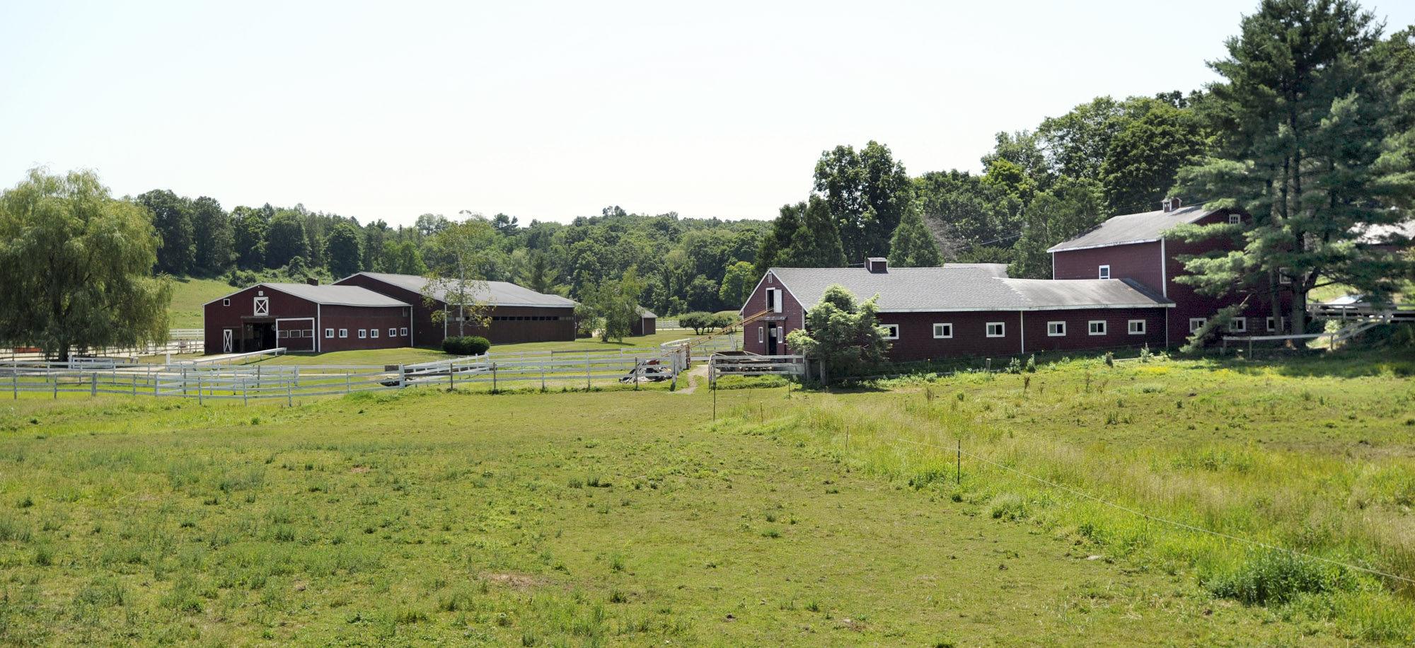 After FBI raid, Bill Stuart center of attention