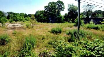 Turning brown to green