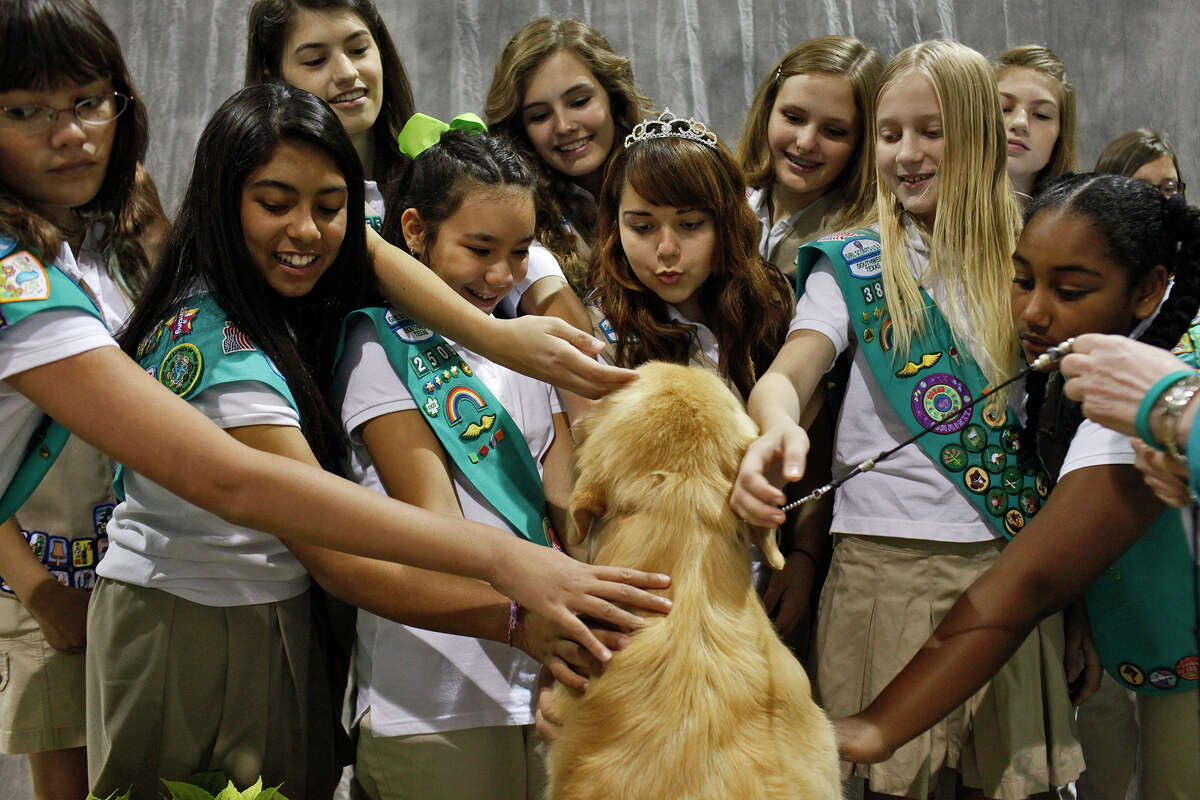 Girl Scouts shower dog show stars with attention