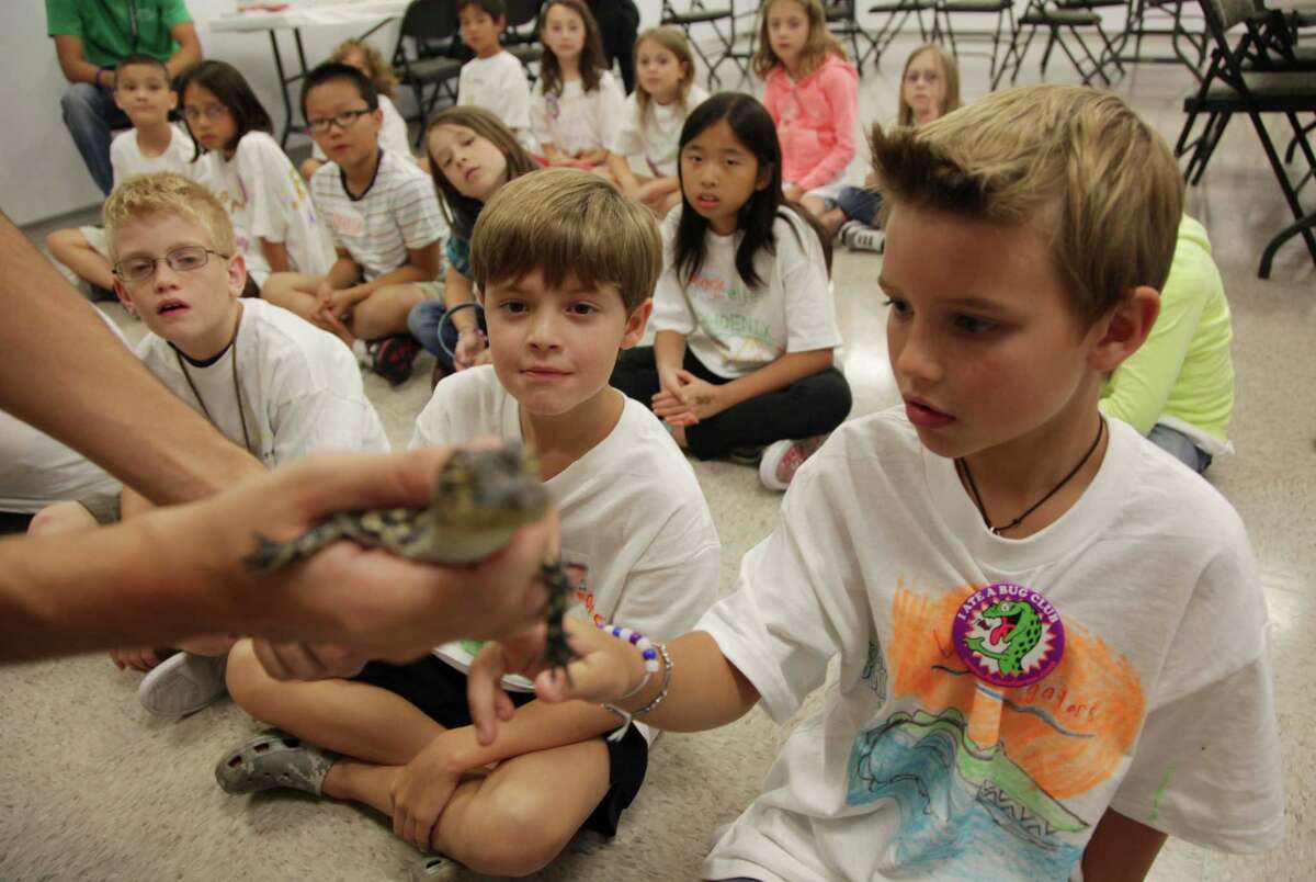 At Survivor Camp, kids live by their wits