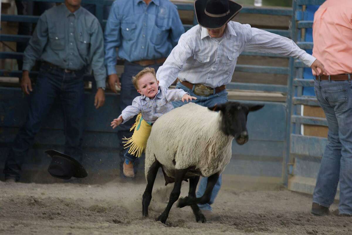 Houston Rodeo selects new leader