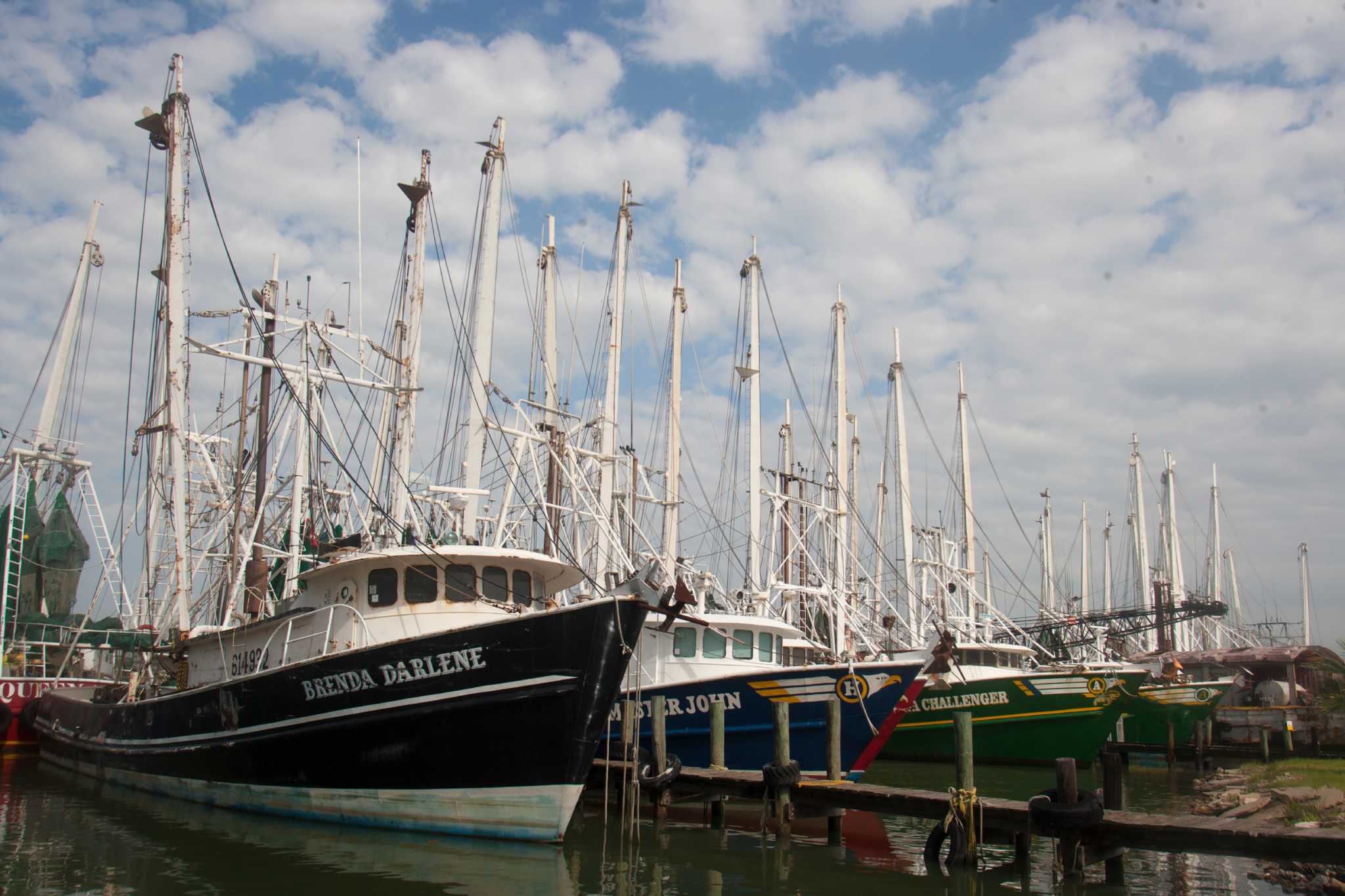 Better harvest is expected as shrimping season starts