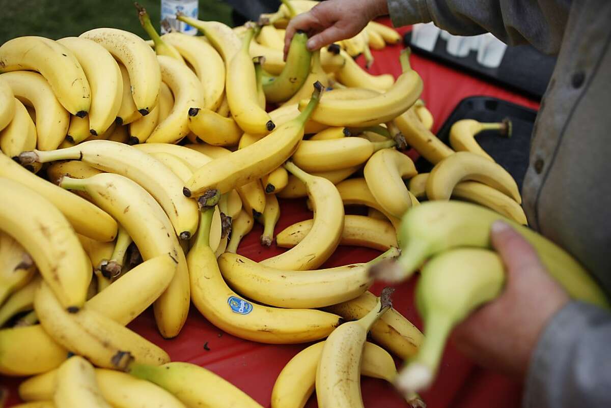 SF AIDS Walk draws 20,000