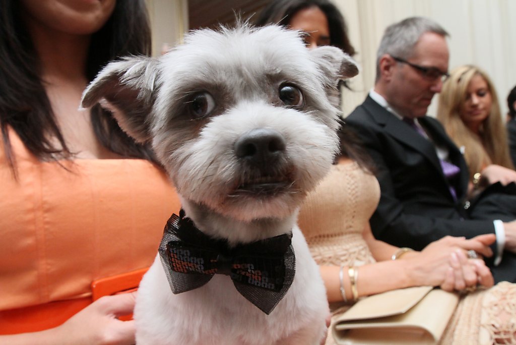 SFGate: Day in Pictures, July 16, 2012
