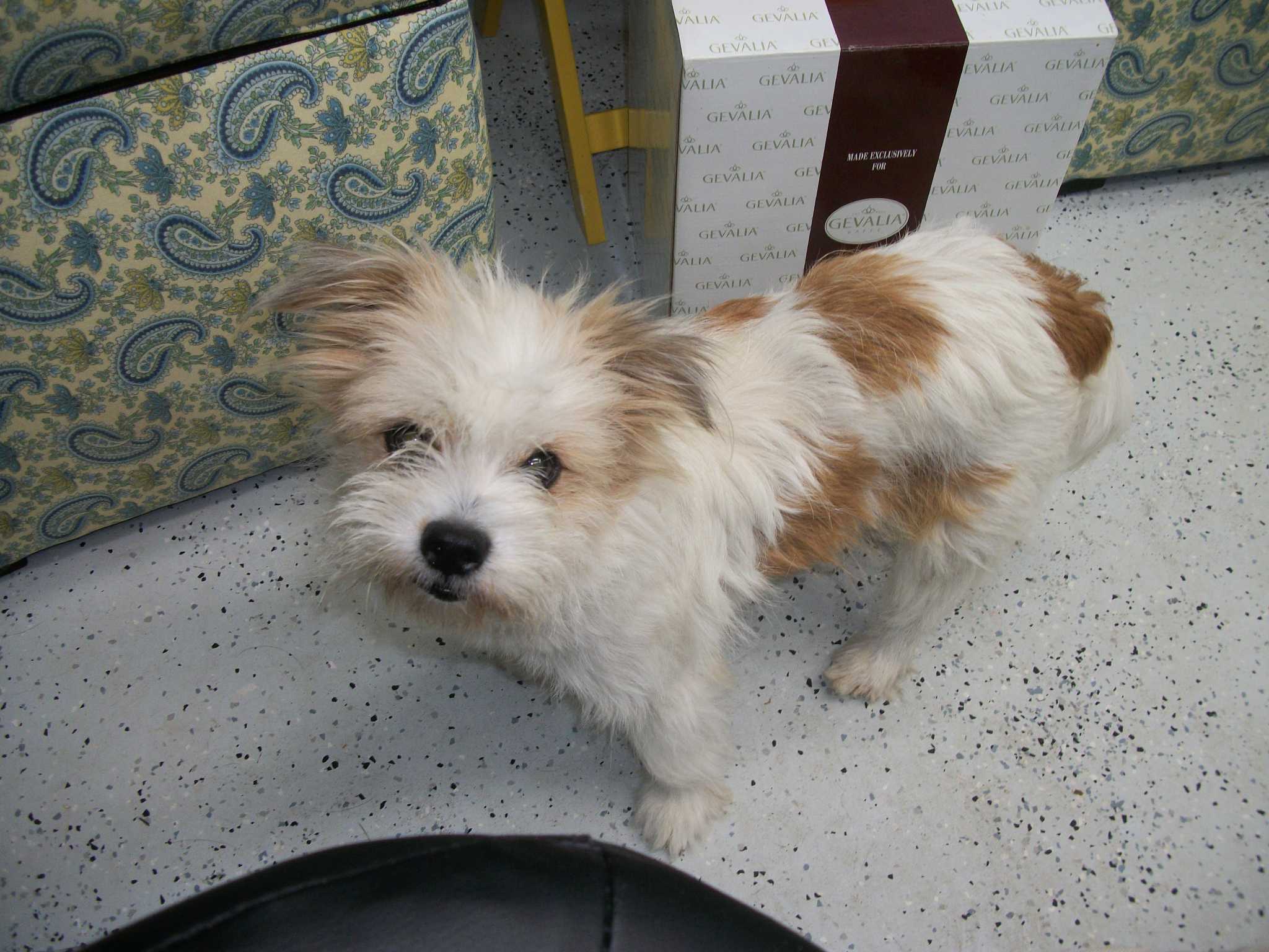 Humane Society gets a new home