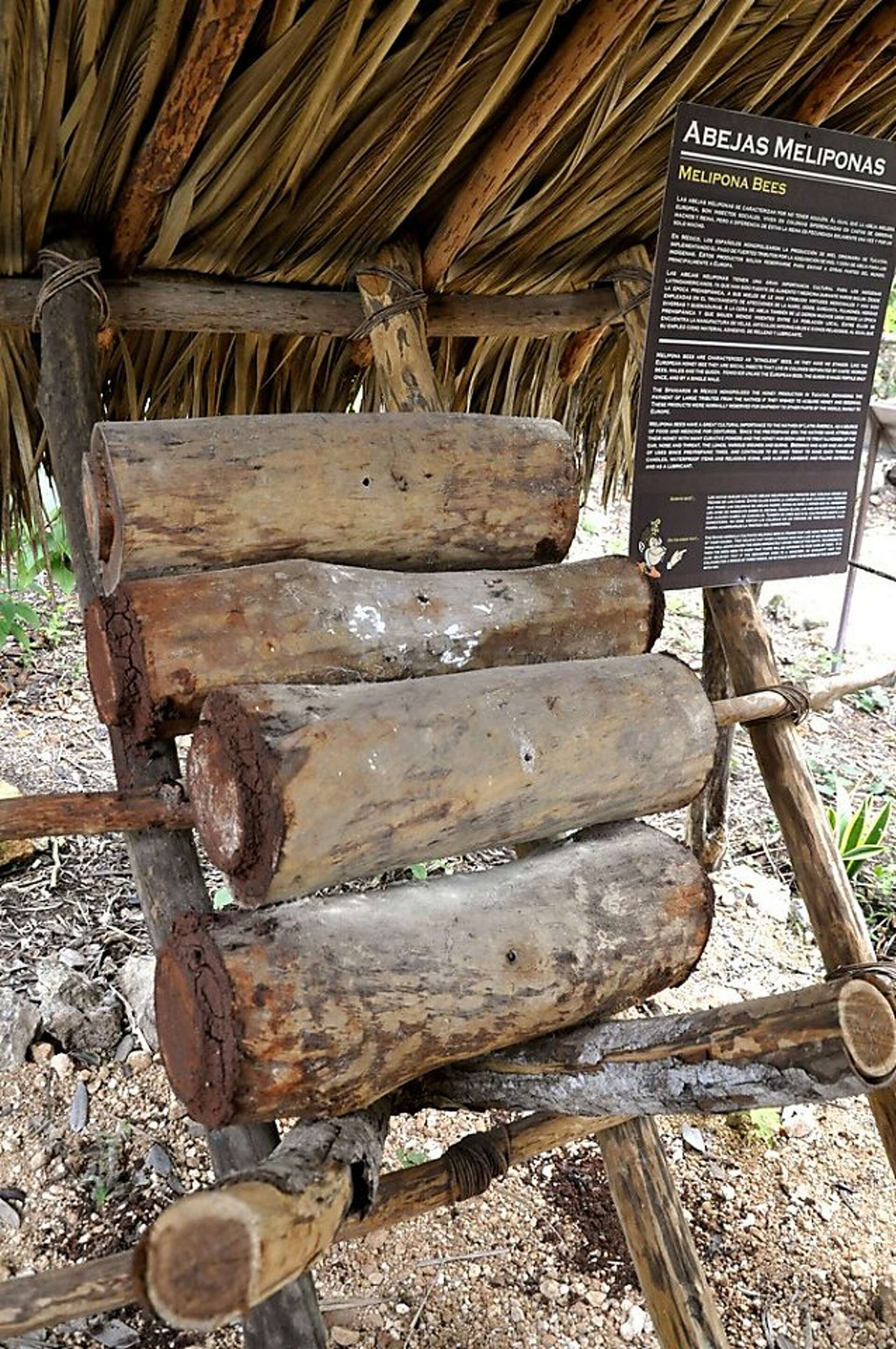 Museum blends history of cocoa with Maya daily life