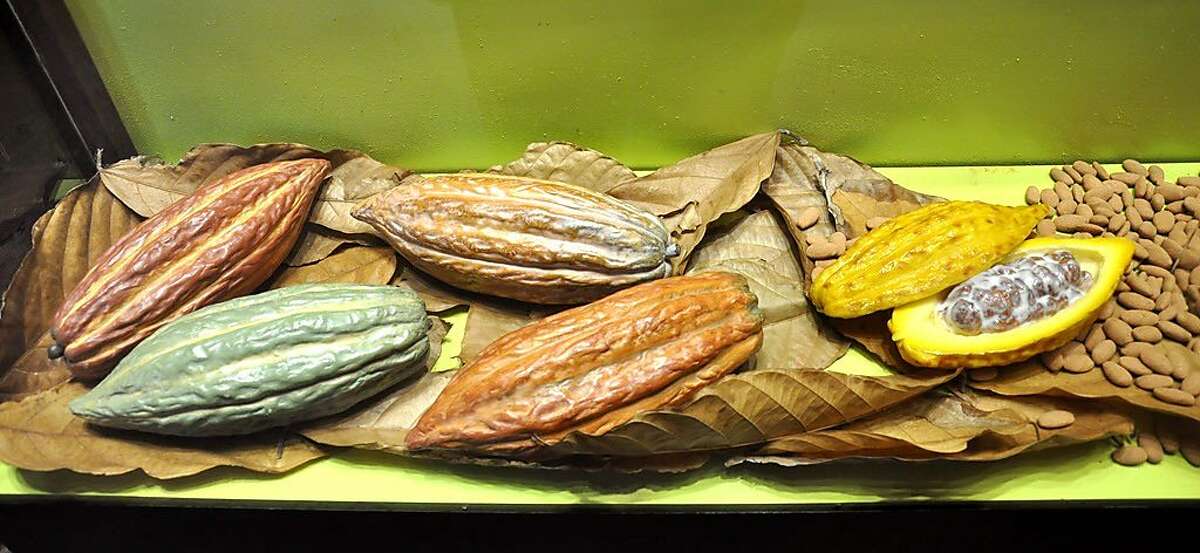 Museum blends history of cocoa with Maya daily life