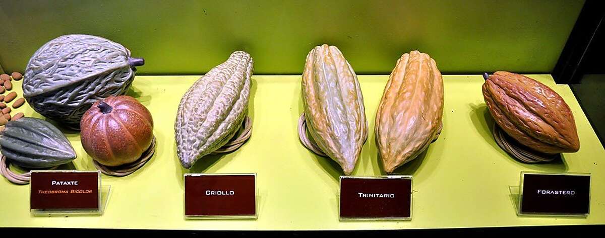 Museum blends history of cocoa with Maya daily life