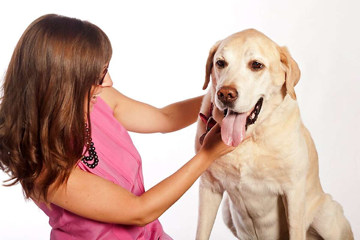 Kobe, the dog that inspired a startup