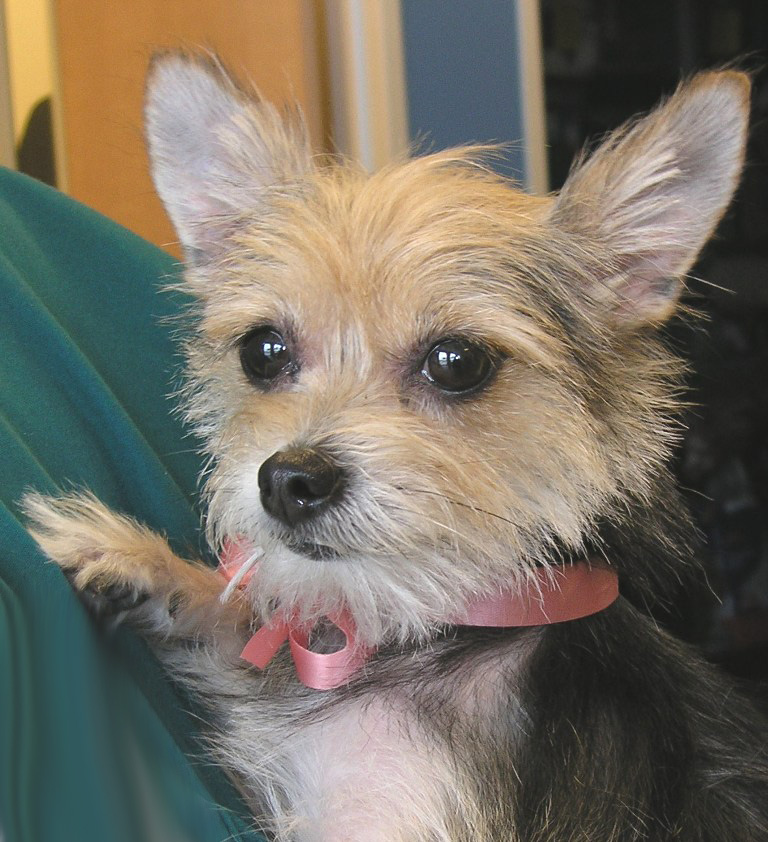 Pethouse Pet of the Week