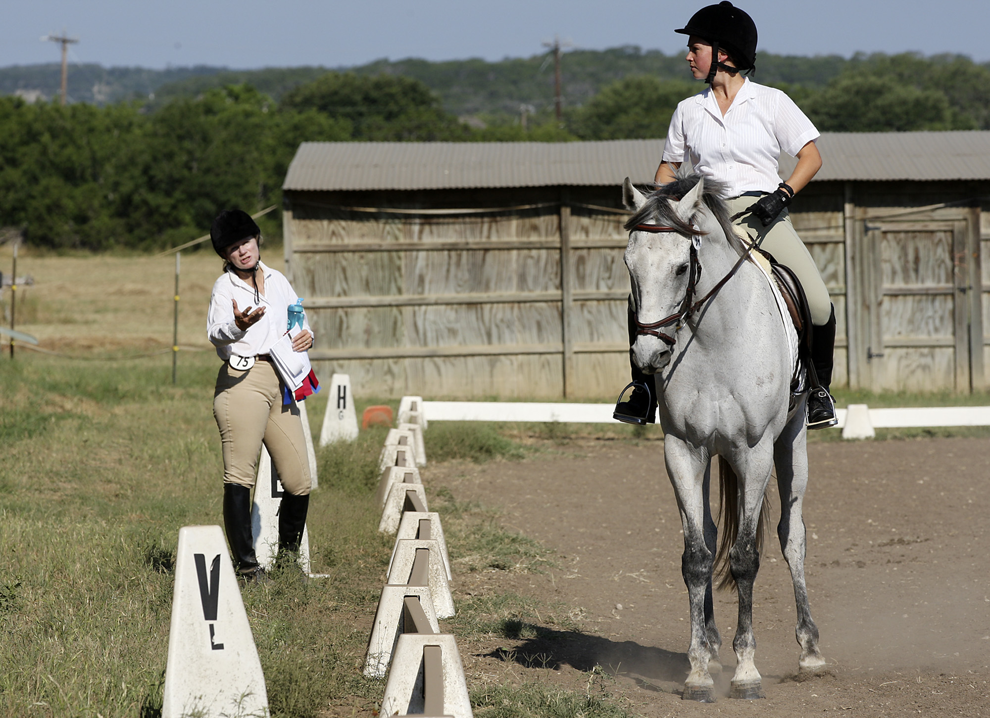 'Horse ballet' hopes to shake its elitist image