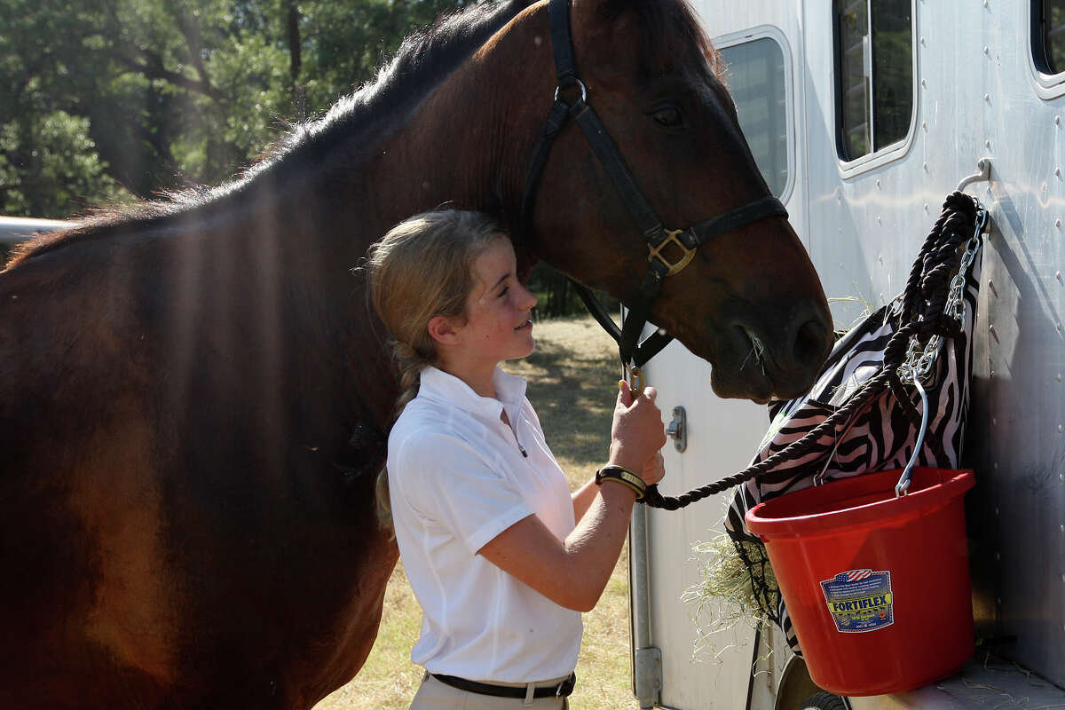 'Horse ballet' hopes to shake its elitist image