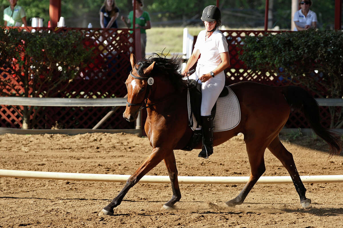 'Horse ballet' hopes to shake its elitist image