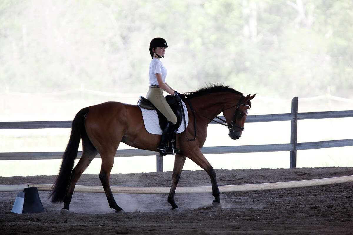 'Horse ballet' hopes to shake its elitist image