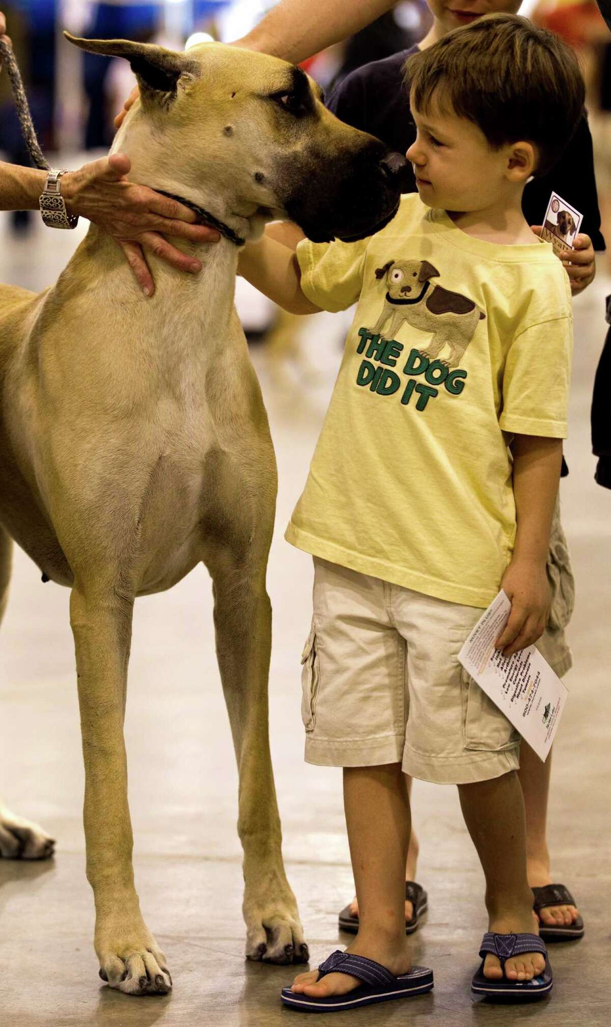 Competitive canines shine at dog show